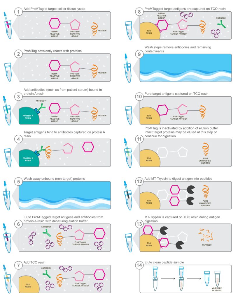 IP-to-MS Antigen Profiling - Impact Proteomics IP-to-MS Antigen Profiling - Impact Proteomics